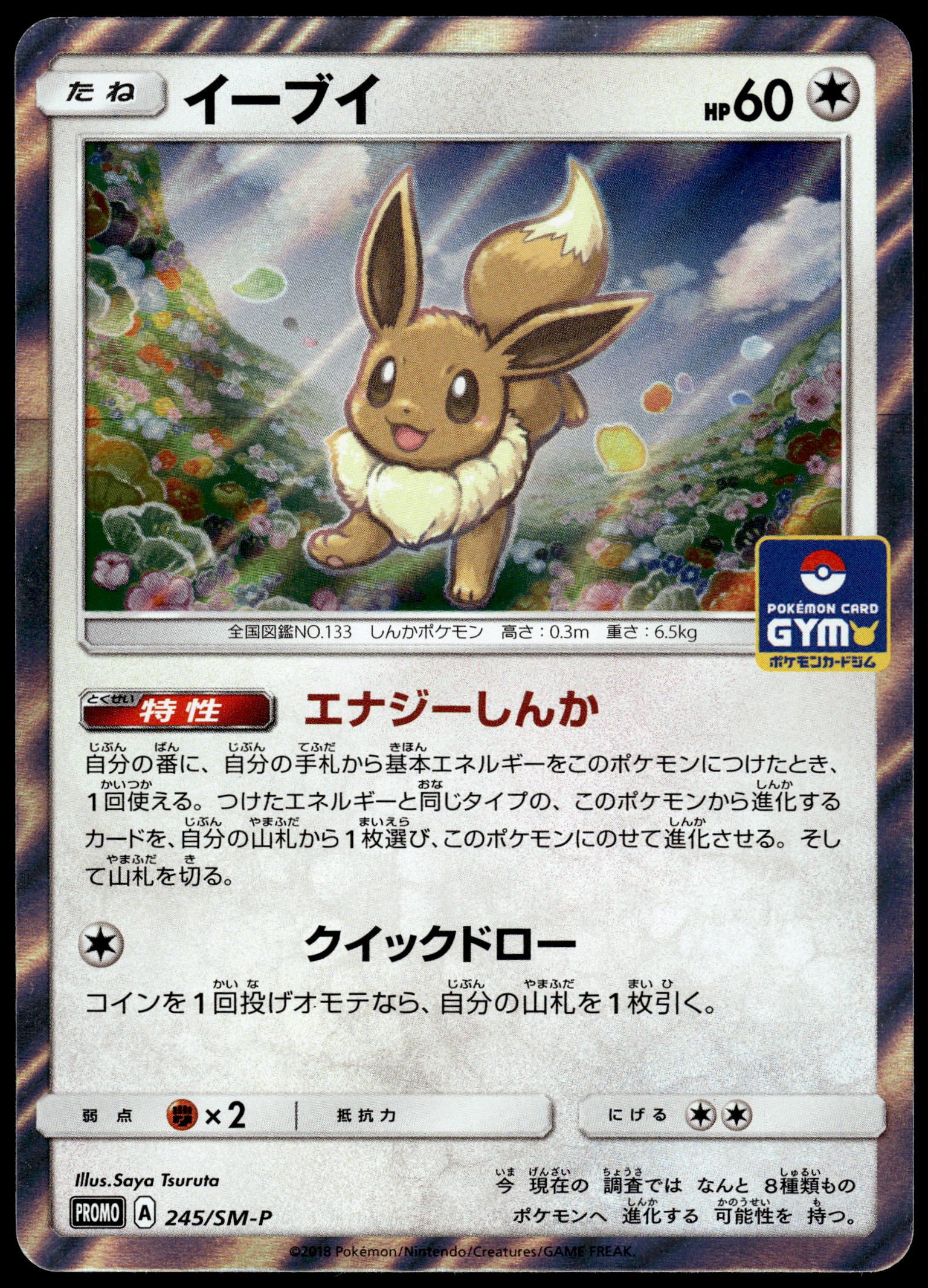 Eevee Holo 245/SM-P GX Start Battle Prize Japanese Promo Pokemon [NM ...