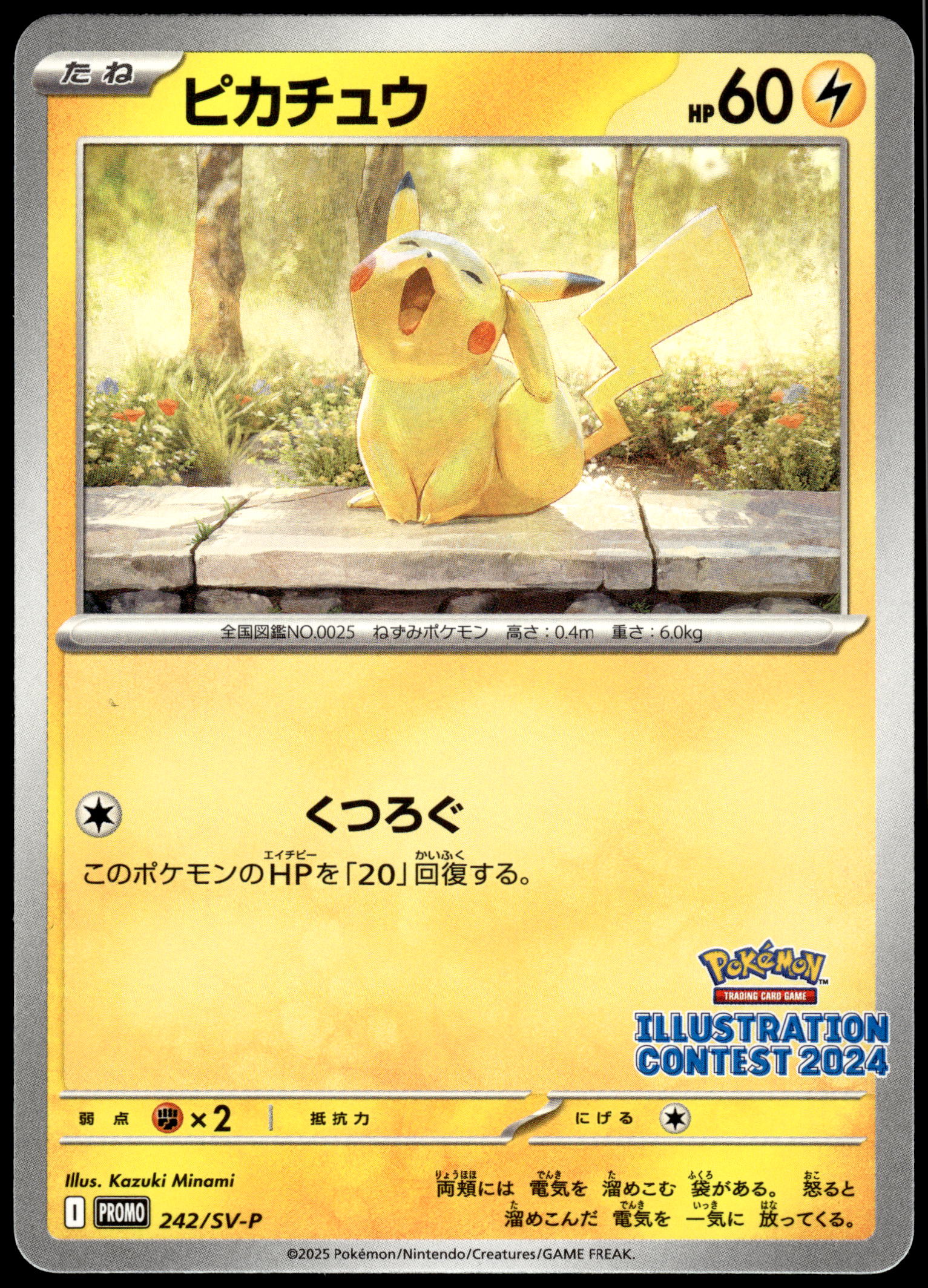 Pikachu 242/SV-P 2024 Illustration Contest Japanese Promo Pokemon [NM ...